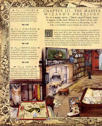Wizardology by Dugald Steer | Waterstones